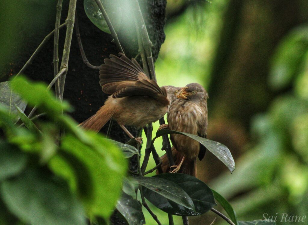 Photography – ALSphere