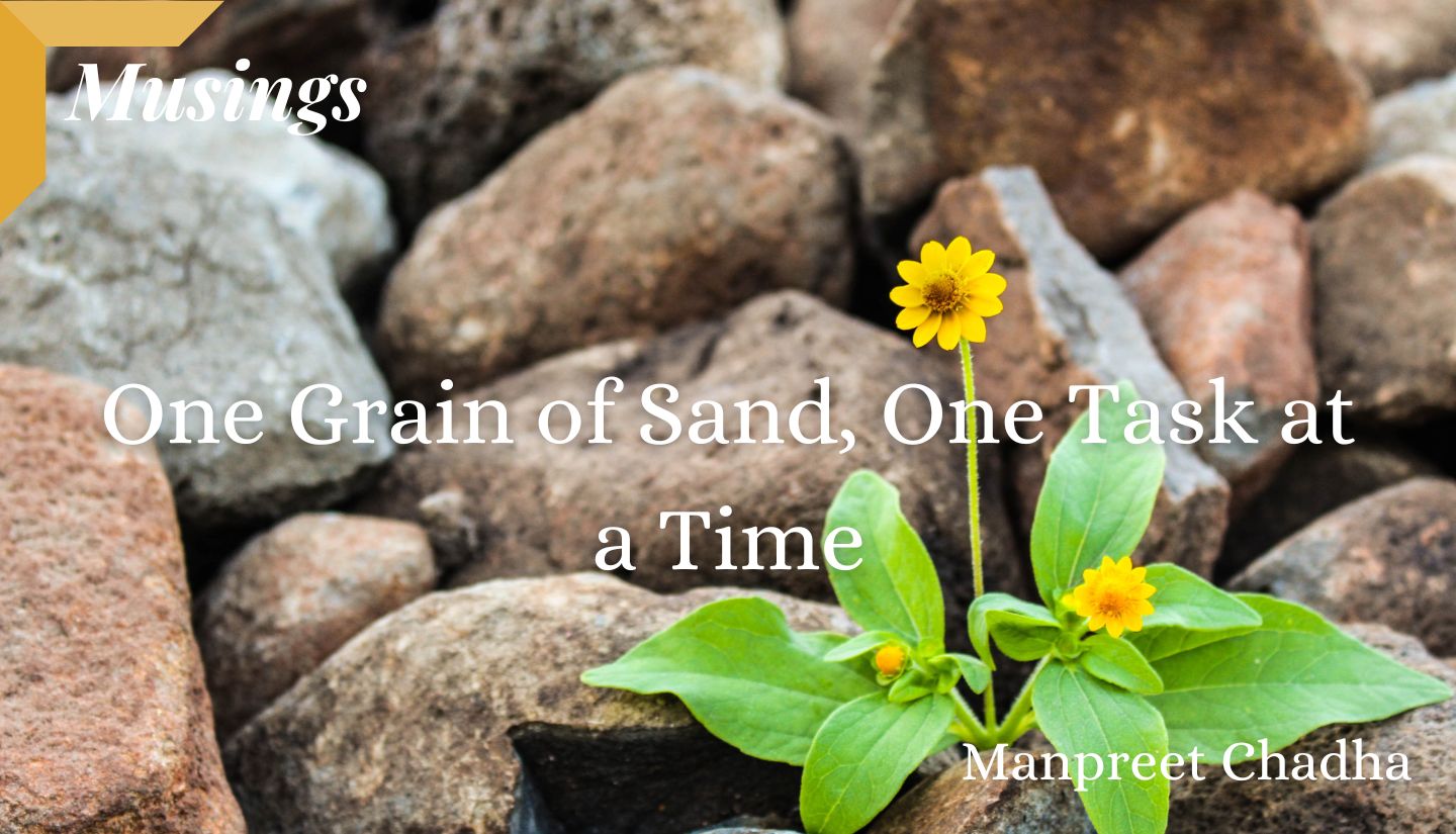 One Grain of Sand, One Task at a Time – ALSphere