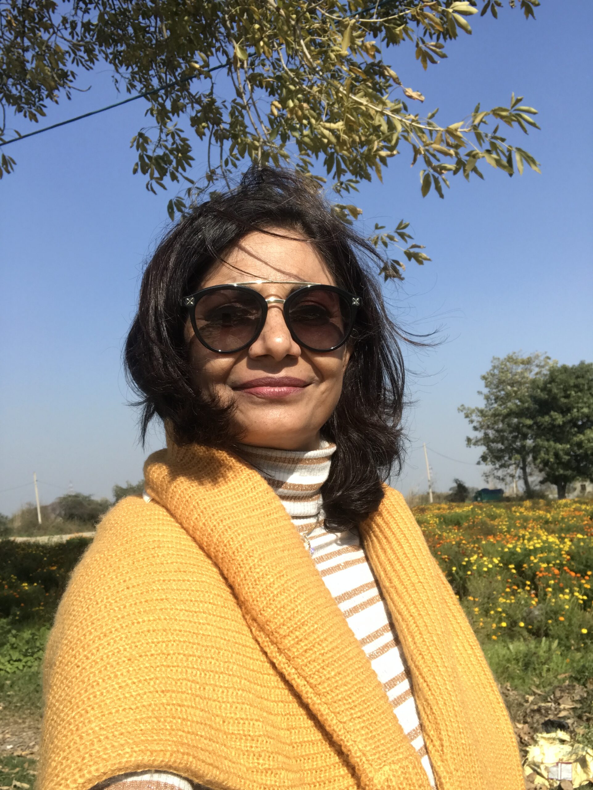 Festival of Colors: A Poem by Manisha Amol - ALSphere