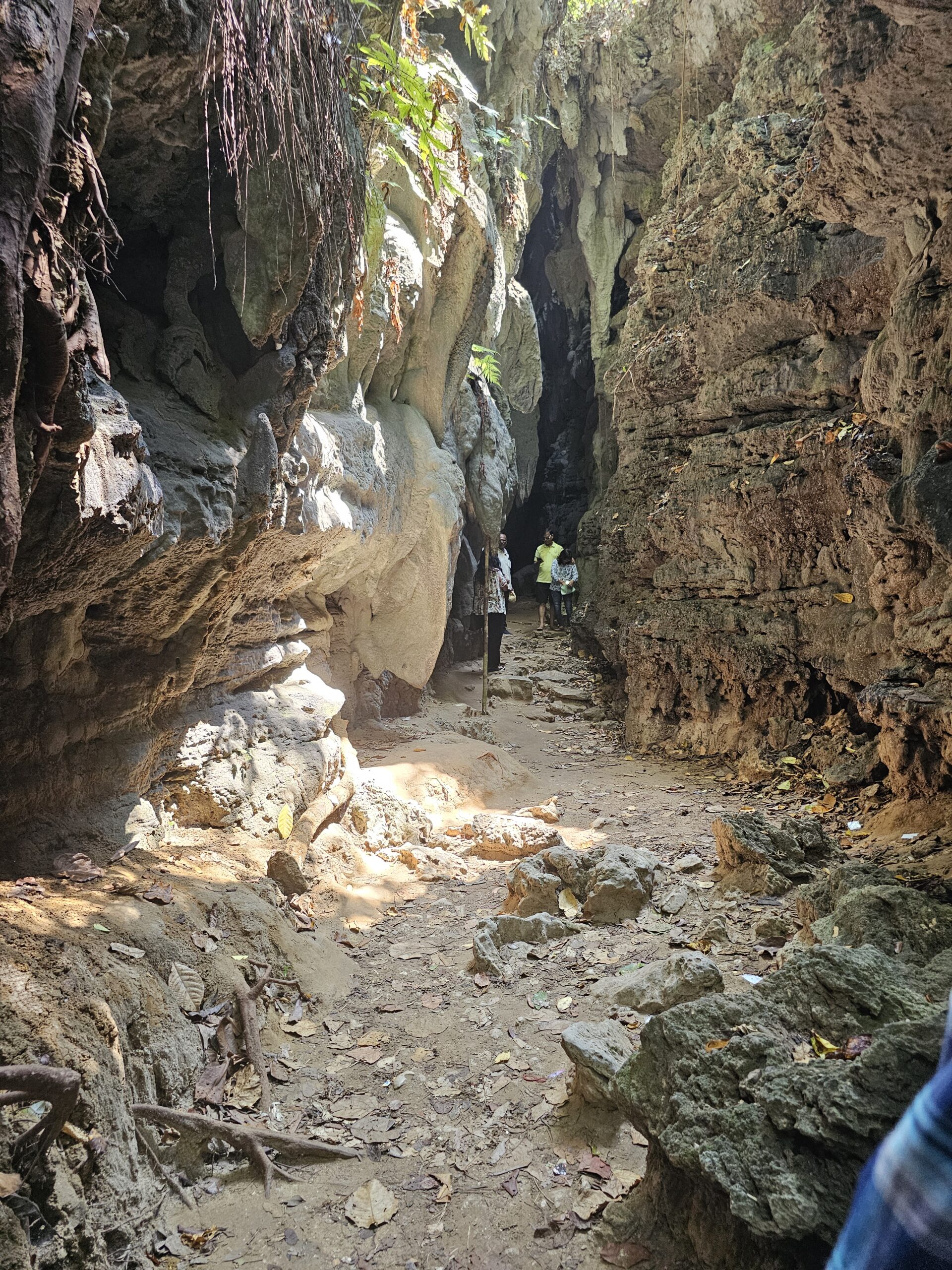 The Enigmatic Limestone Caves – ALSphere
