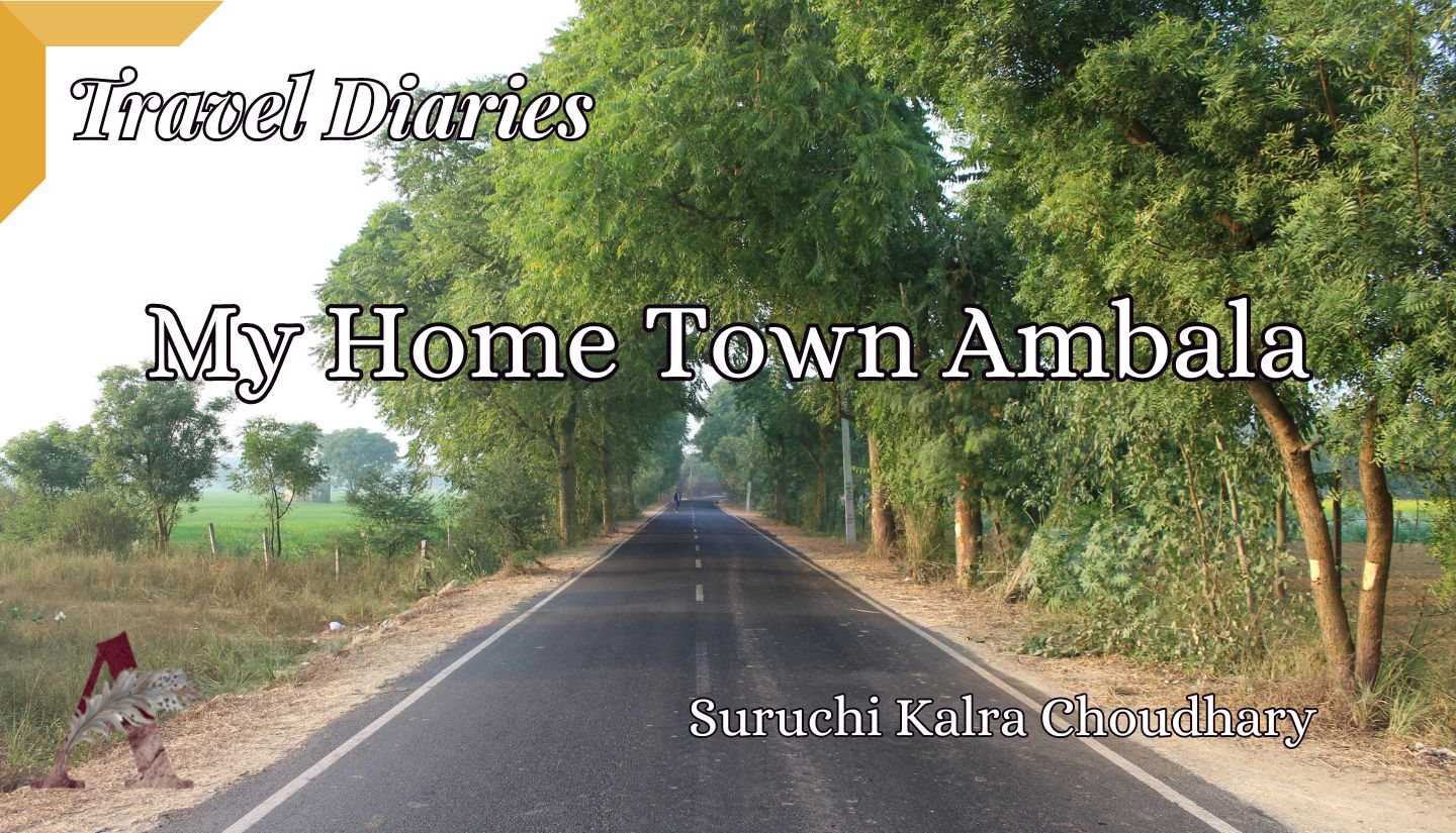 My Home Town Ambala - ALSphere