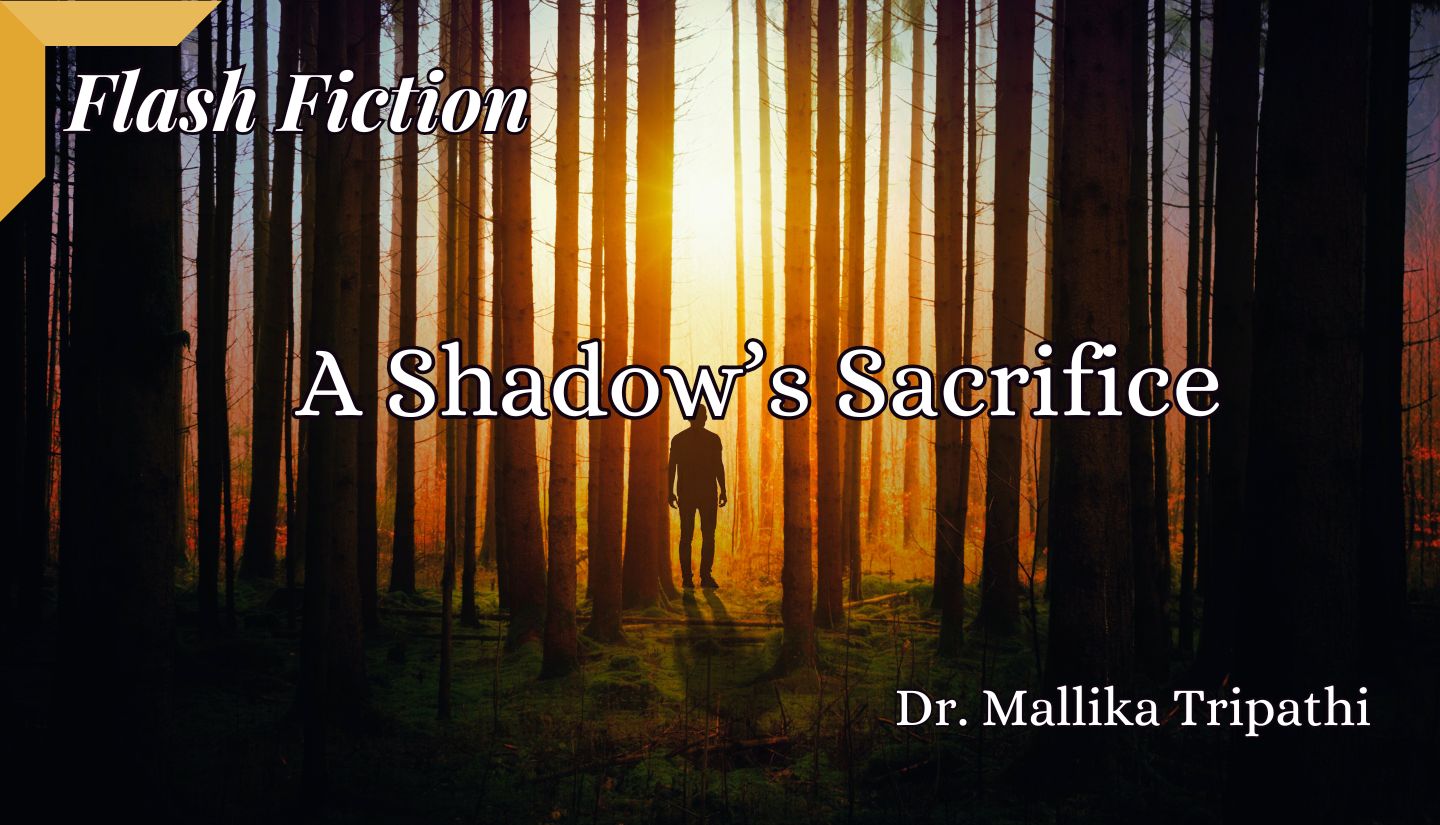A Shadow’s Sacrifice – ALSphere